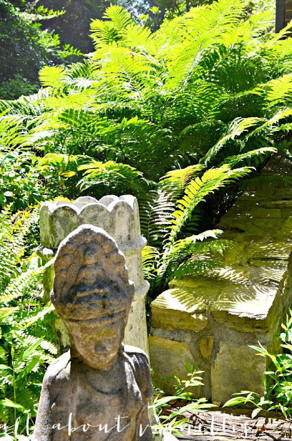 All About Vignettes: Easy Landscaping With Vines and Ferns