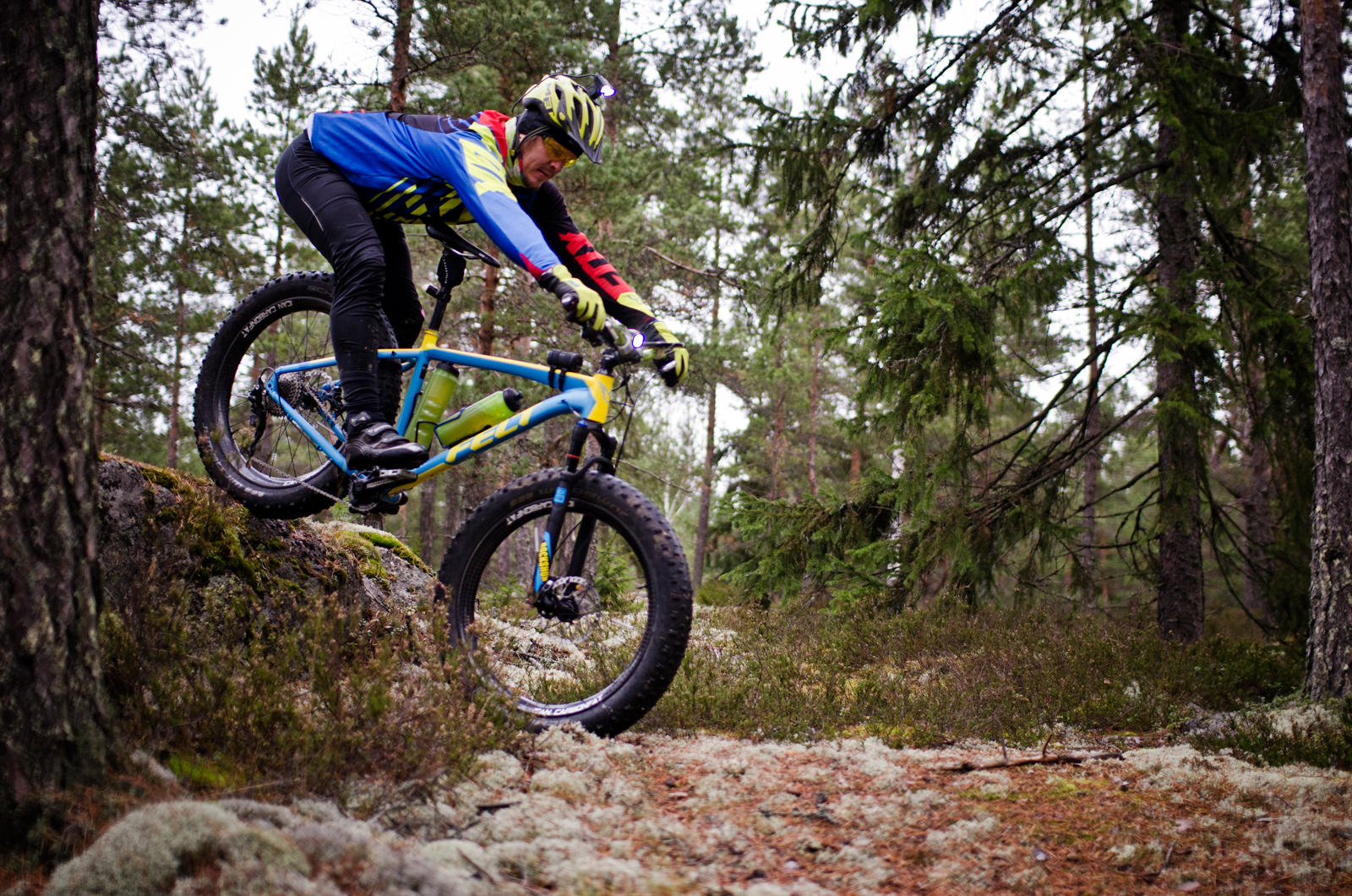 Hemmon Kuvat & Fillarihemmo: Felt DD10 2017