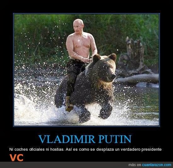 DEMOSTENES: Putin montando un oso pardo