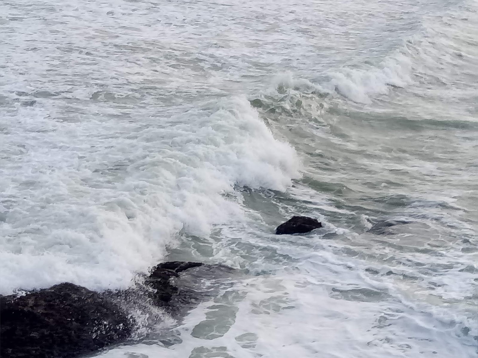 UNEDITED WALLPAPERS OF NATURE