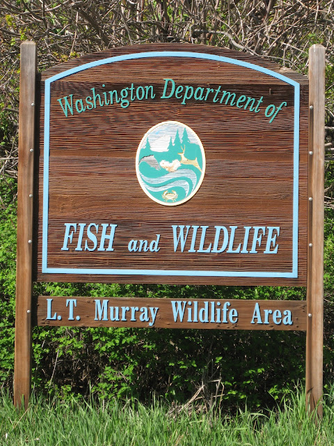 Central Washington Green Dot Trails - Recreation: L.T. Murray Wildlife Area