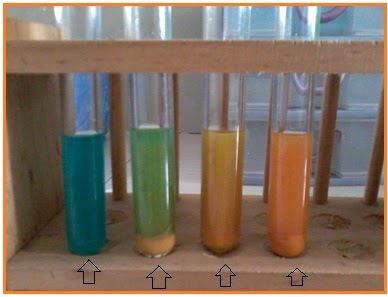 UJI GLUKOSA SEDERHANA | Materi dan Soal Biologi
