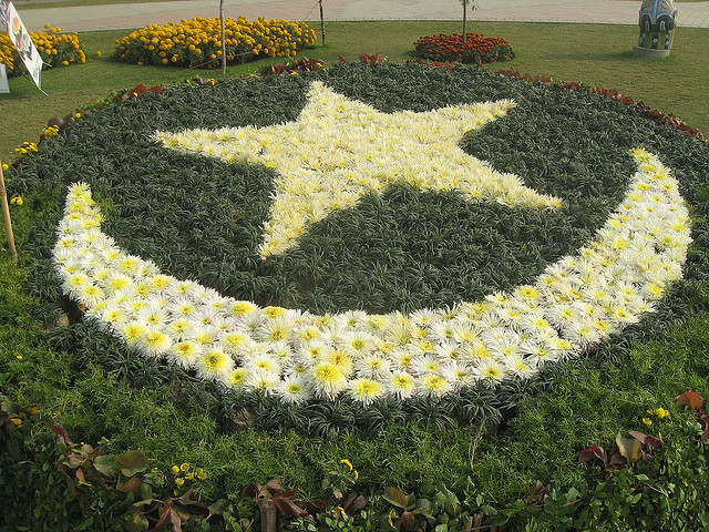 Flower,Flower shops,Flowers pictures,Flower delivery,Silk flowers ...