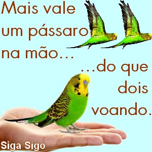 Provérbios ou Ditados Populares