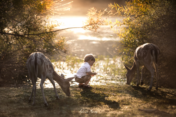 Art et glam: Adrian C Murray, le photographe capture le bel été de ses ...