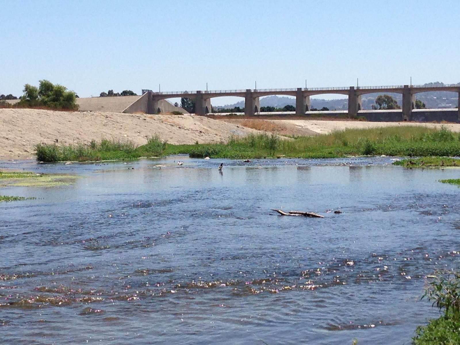 Kayaking the Los Angeles River (Sepulveda Basin Recreation Zone), CA ...