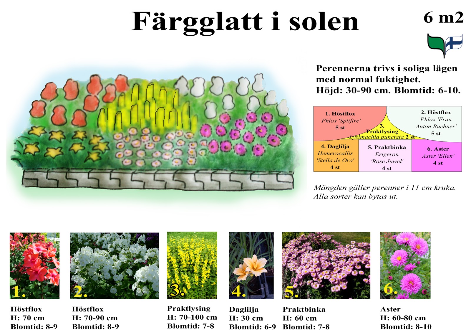 Sol och grönt: Fyra olika rabatter för fyra olika lägen
