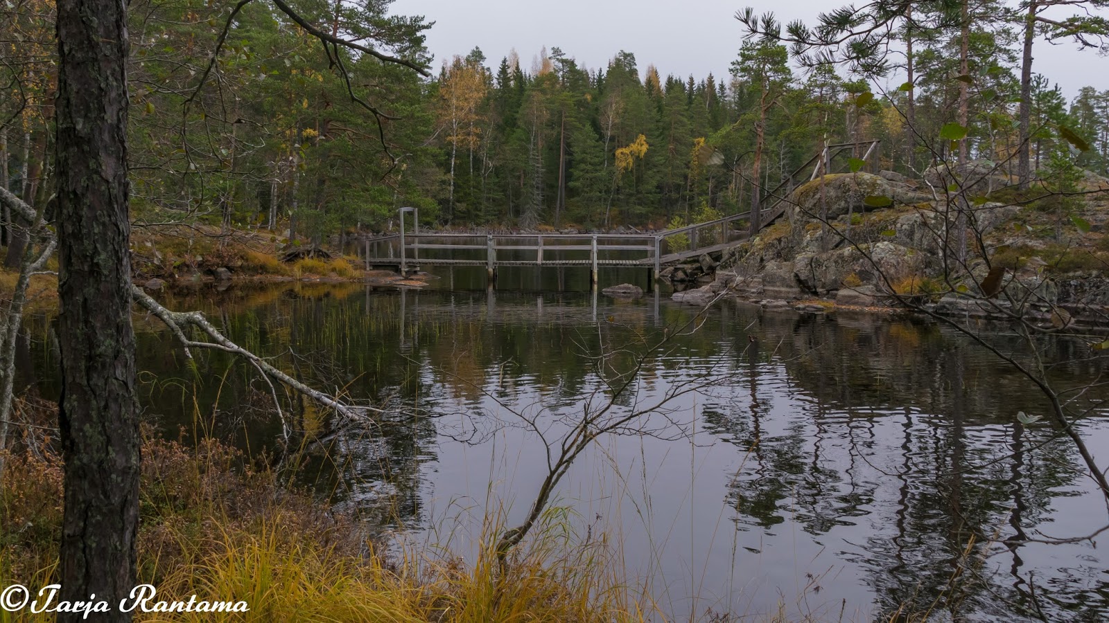 Kuljen metsässä hiljaa: PUKALAN RETKEILYALUE