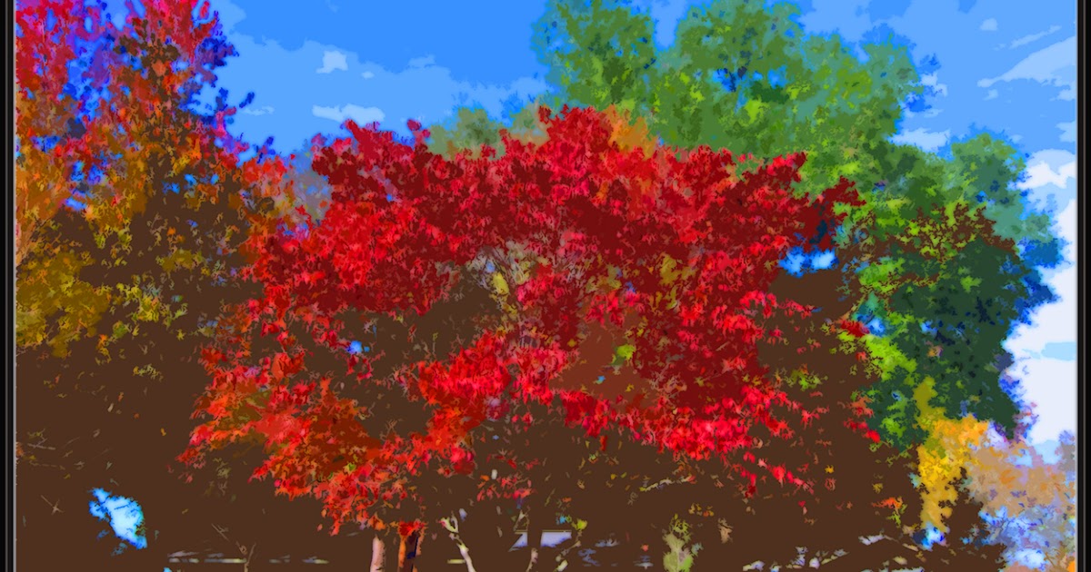 Ocala, Central Florida & Beyond: Fall in Ocala