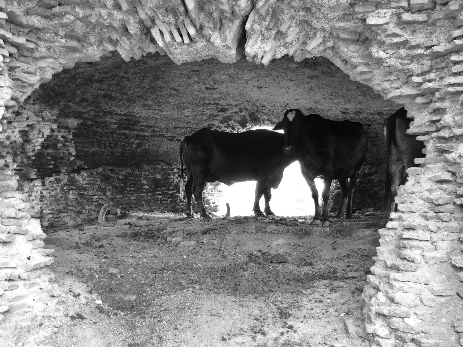 evenfewergoats: Agra 4: Sikandra