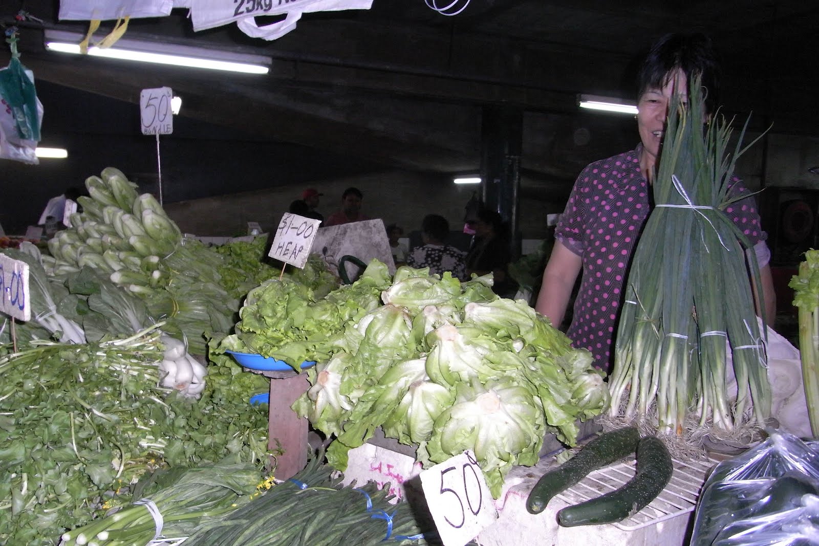 Memie write: Bula Fiji ! August 2010