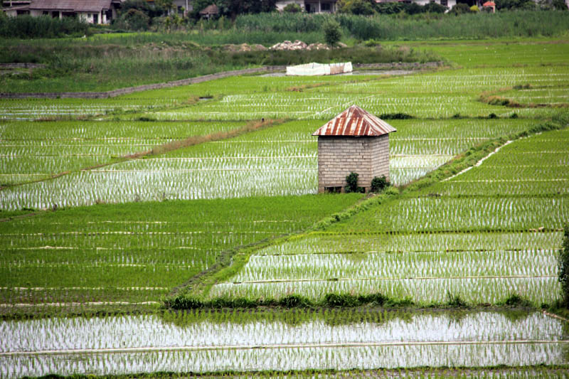 Iran tourist attractions: Roodkhan castle