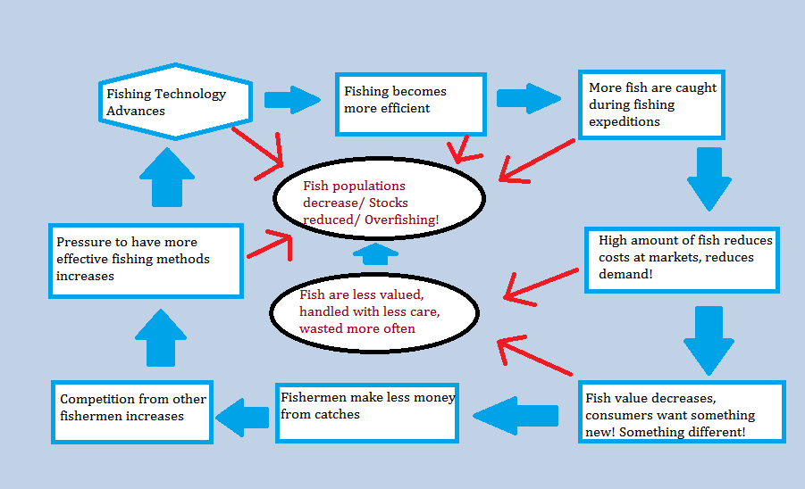 Overfishing: A Global Catastrophe: Why is overfishing a problem?