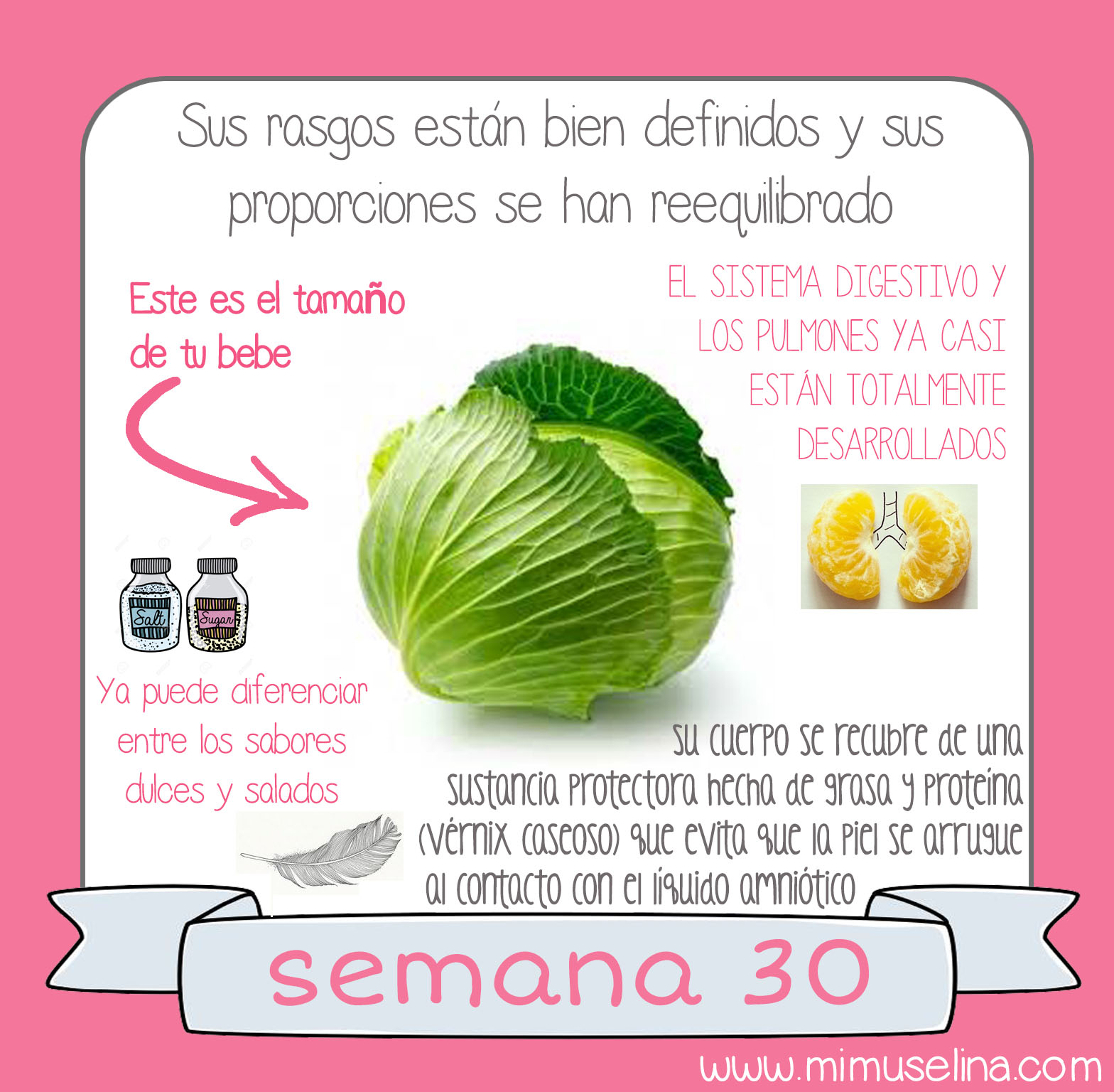 29 Semanas De Gestação Fotos