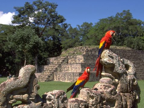 el mejor turismo en Honduras: CONOCE COPAN RUINAS