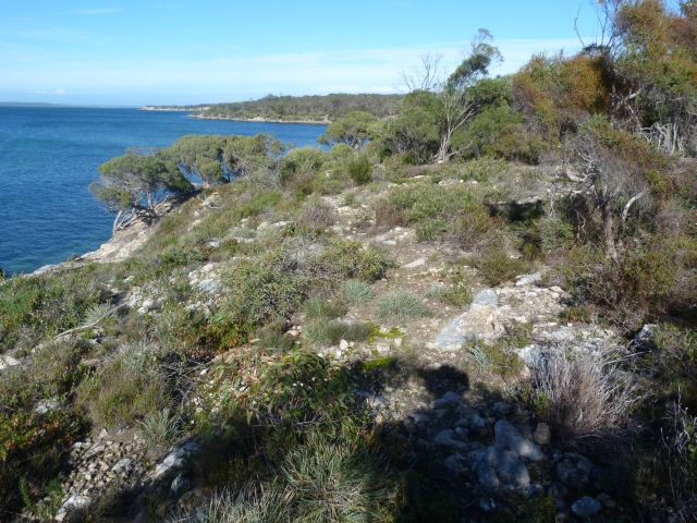 Travels with a Tick Magnet: Day 4: Dutton Bay