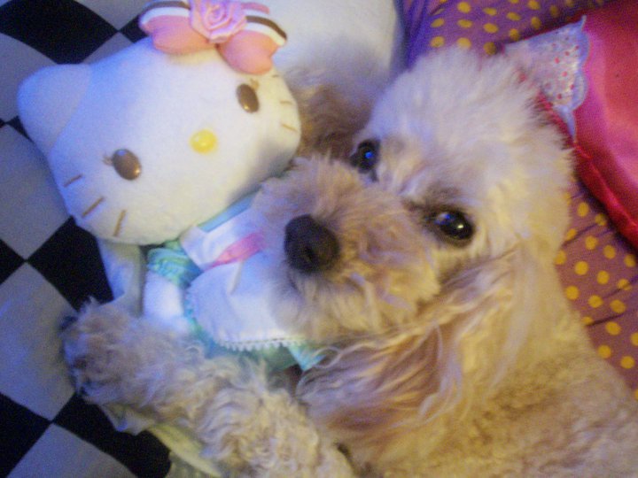 September 2011 | Hello Kitty Forever