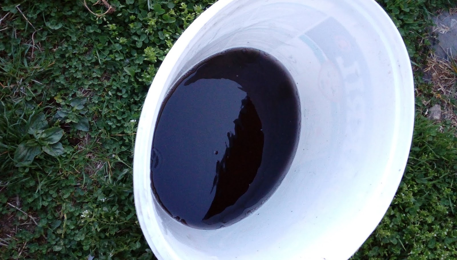 Slijedi napad šljivine osice – kako je suzbiti? I drvenar je aktivan.