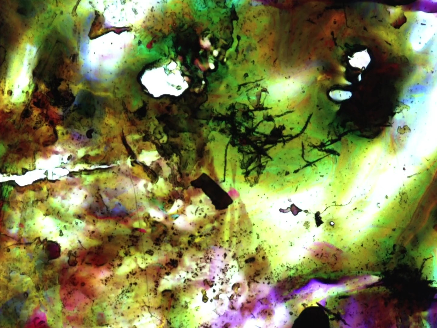 Notes On Cinematograph: Miniatures in Motion: Stan Brakhage and Iran