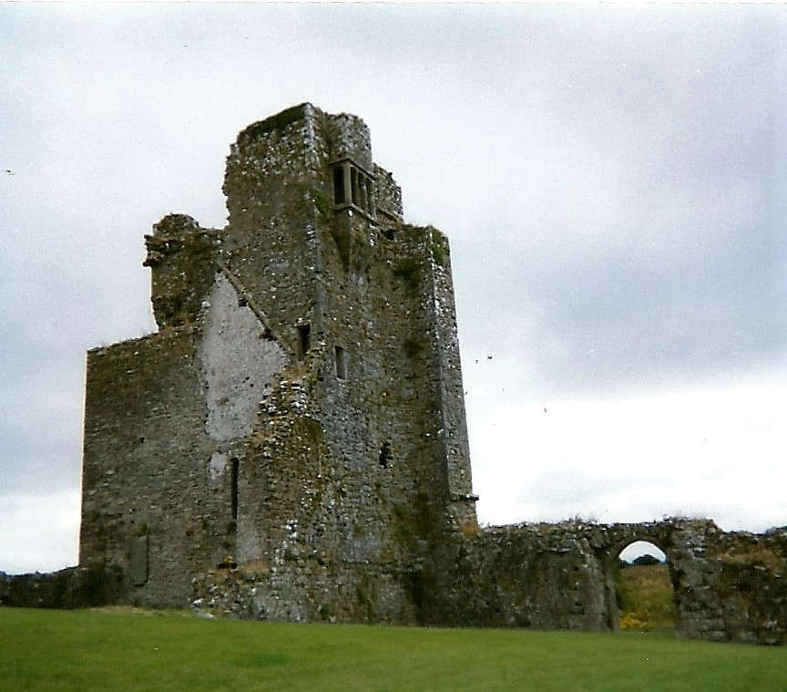 Kilkenny Graveyards: Grannagh (Granny) or Grandison Castle, Parish of ...