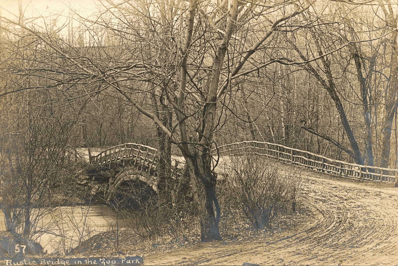 Rock Creek Park's Old Rustic Log Bridge