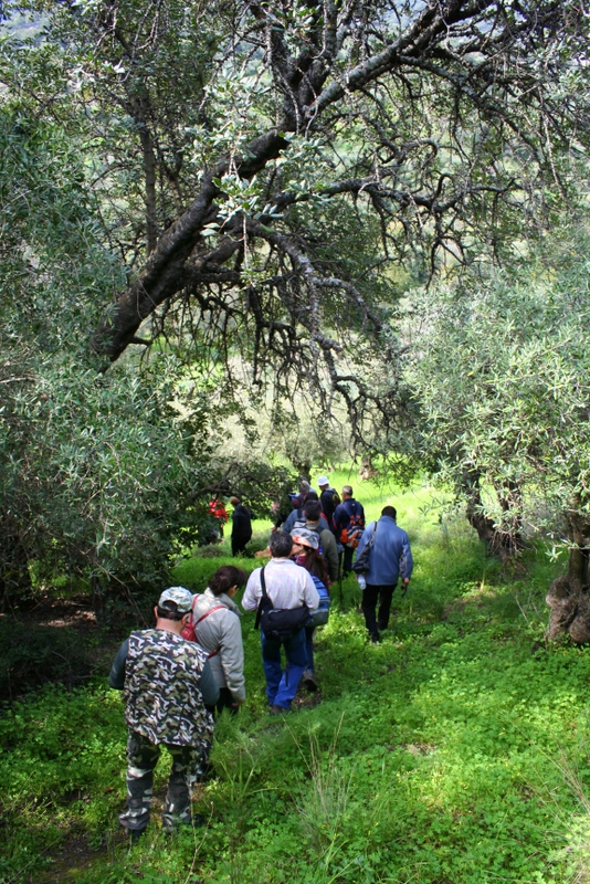 ΟΡΕΙΒΑΤΙΚΟΣ ΣΥΛΛΟΓΟΣ ΑΓΙΟΥ ΝΙΚΟΛΑΟΥ (1ος κύκλος): ΣΤΟΥΣ ΝΕΡΟΜΥΛΟΥΣ ΣΤΙΣ ...
