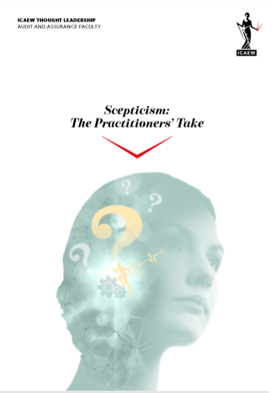 3ap: «Professional Skepticism: The Heart of Audit»