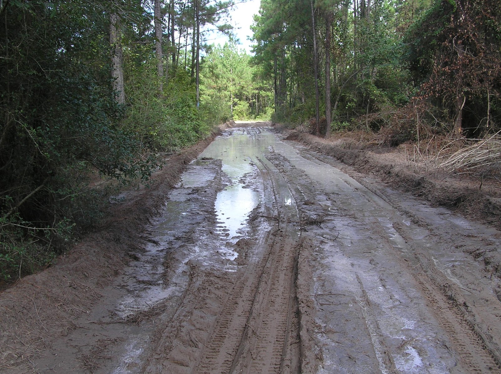 Texas A&M Forest Service: Water Resources: March 2013 BMP Q&A