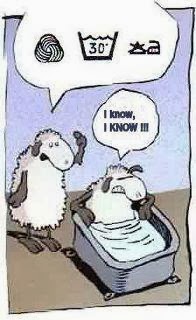 Knitwear by unneva: Hand washing lopi sweaters