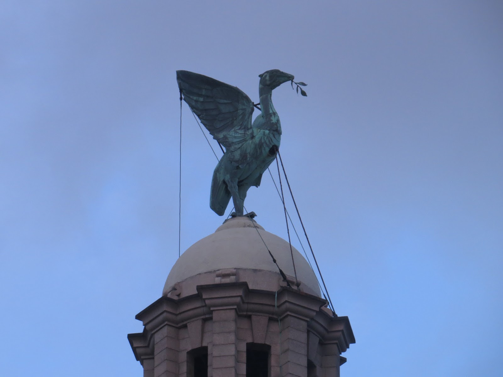 Feathery Tales: The Legend of Liver Bird