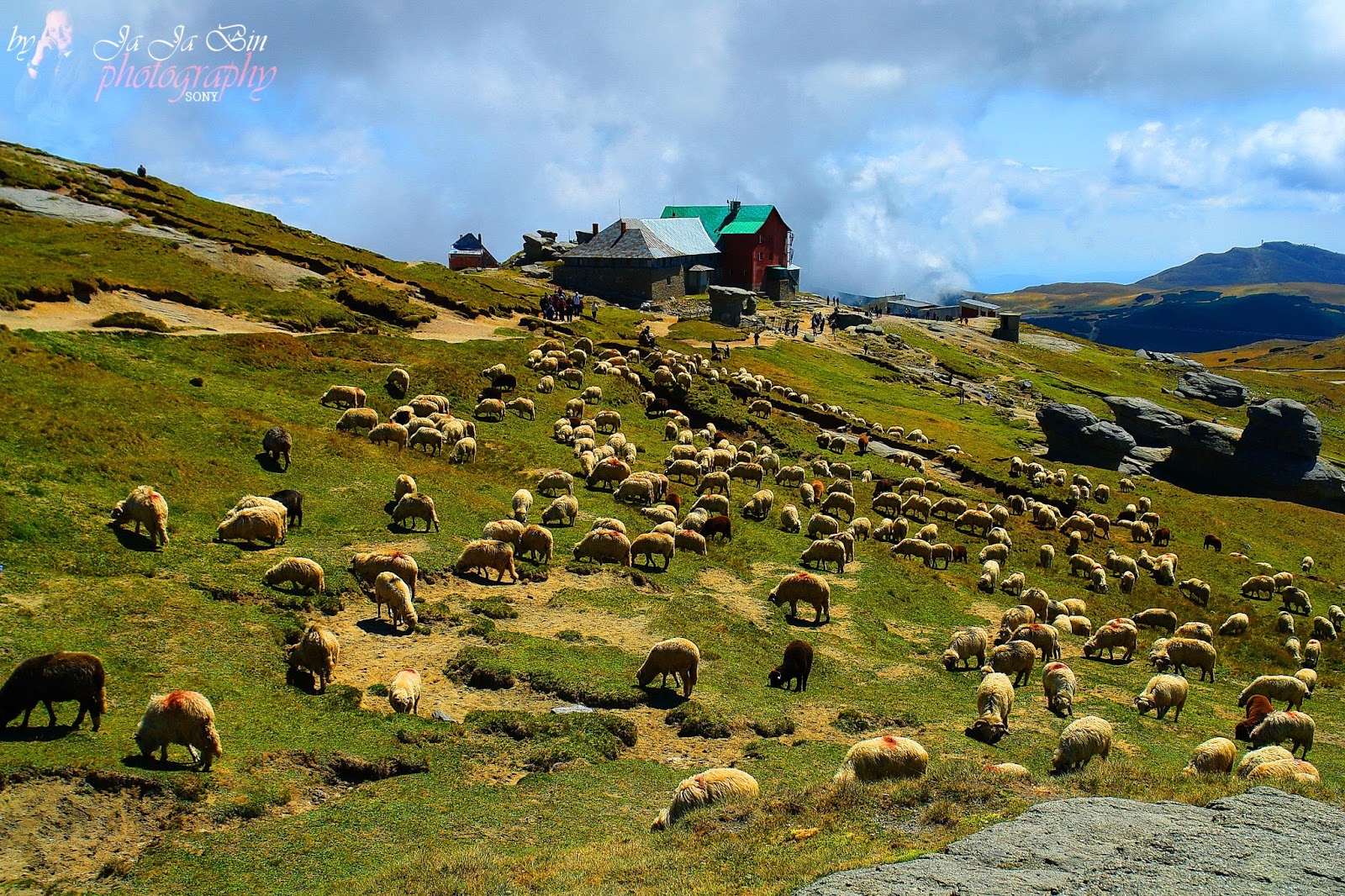 passion and art - the camera can see what our eyes can't - only for ...