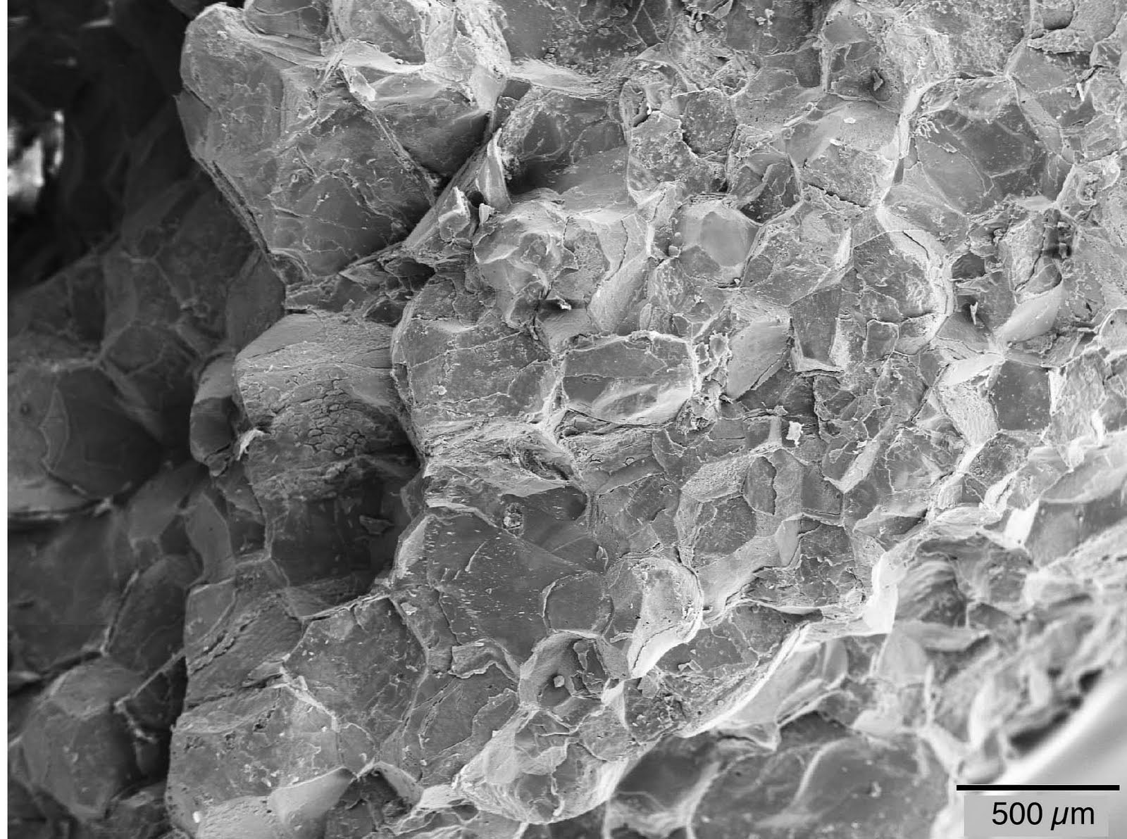Peridotites: Polyhedral texture in dunite - Scanning Electron ...