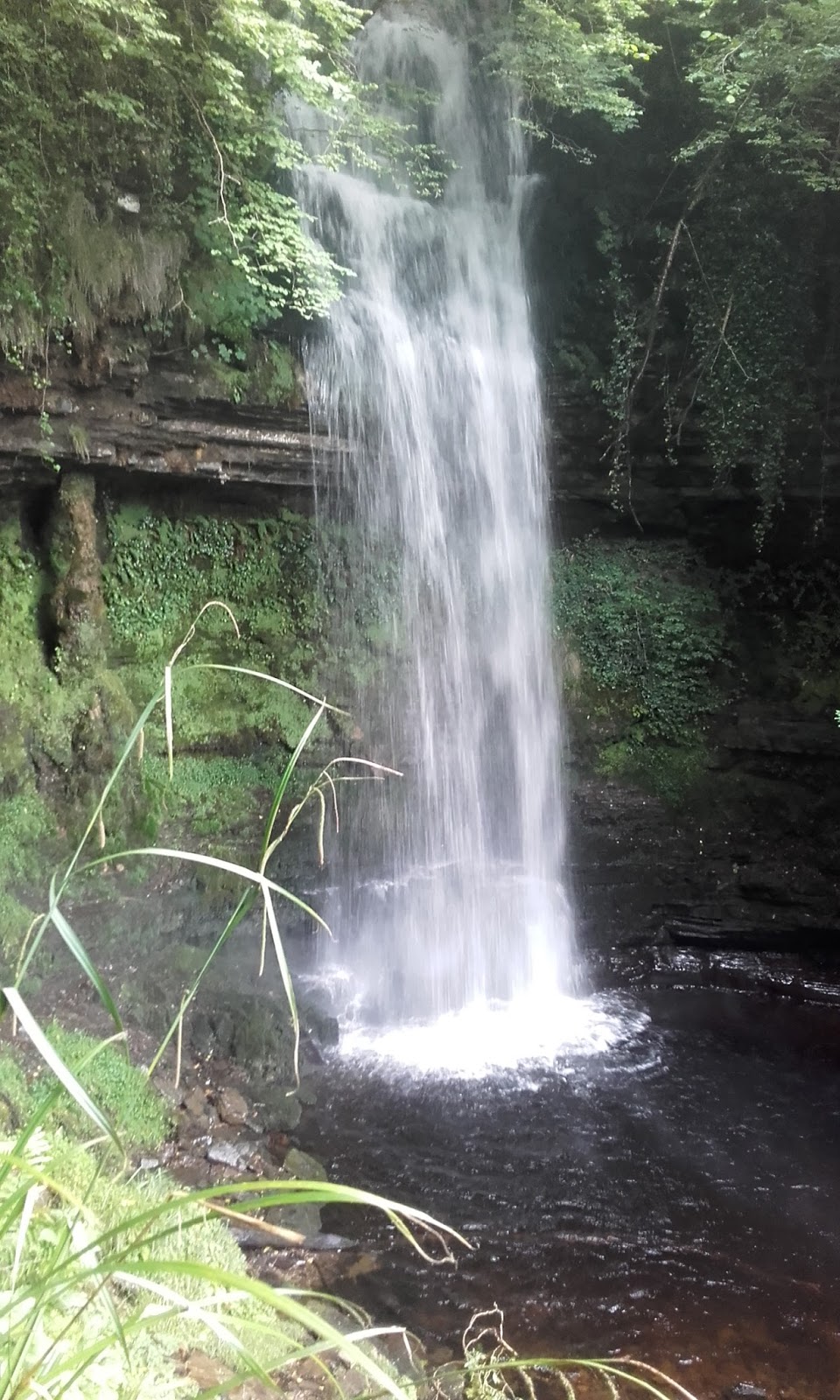 Ballinasloe Active Retirement Association Online: 2017