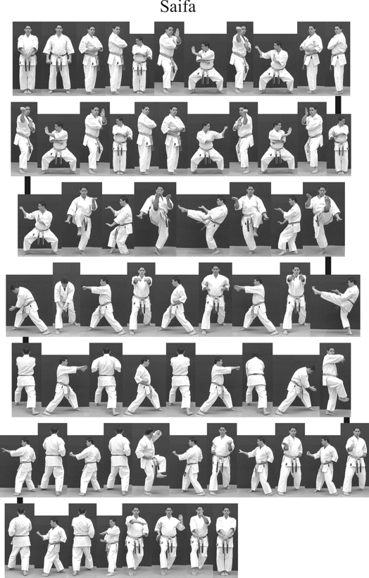 Goju Ryu Kata Saifa The 54 steps of Gohushiho – Karate Kata