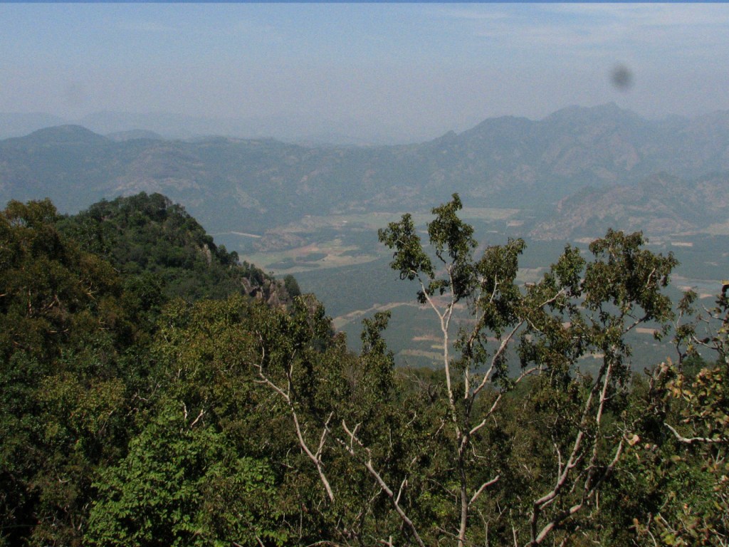 Tamilnadu Tourism: Muthaliar Oothu, Shenbagathoppu, Srivilliputhur ...