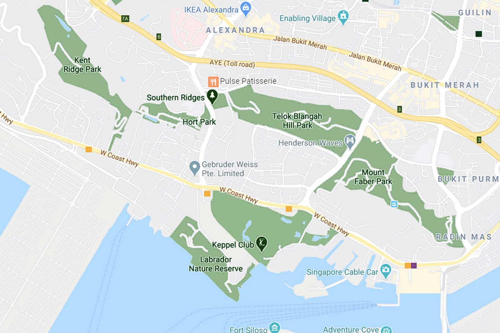 Butterflies of Singapore: Jul 26, 2020