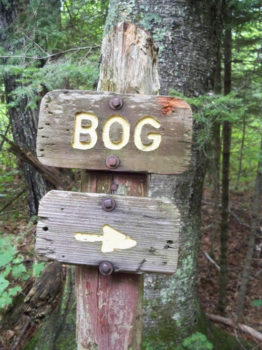 lapine design: "I warrant there's a nasty bog nearby."