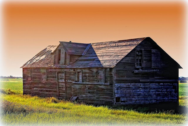 Thinking to Infinity and Beyond...: "Livin' off the fatta the lan"...