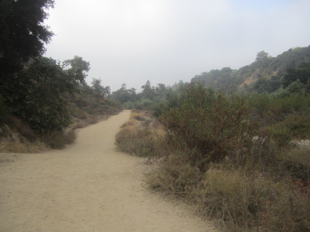Hiker Dave: Today's Hike - Eaton Canyon, Altadena, CA