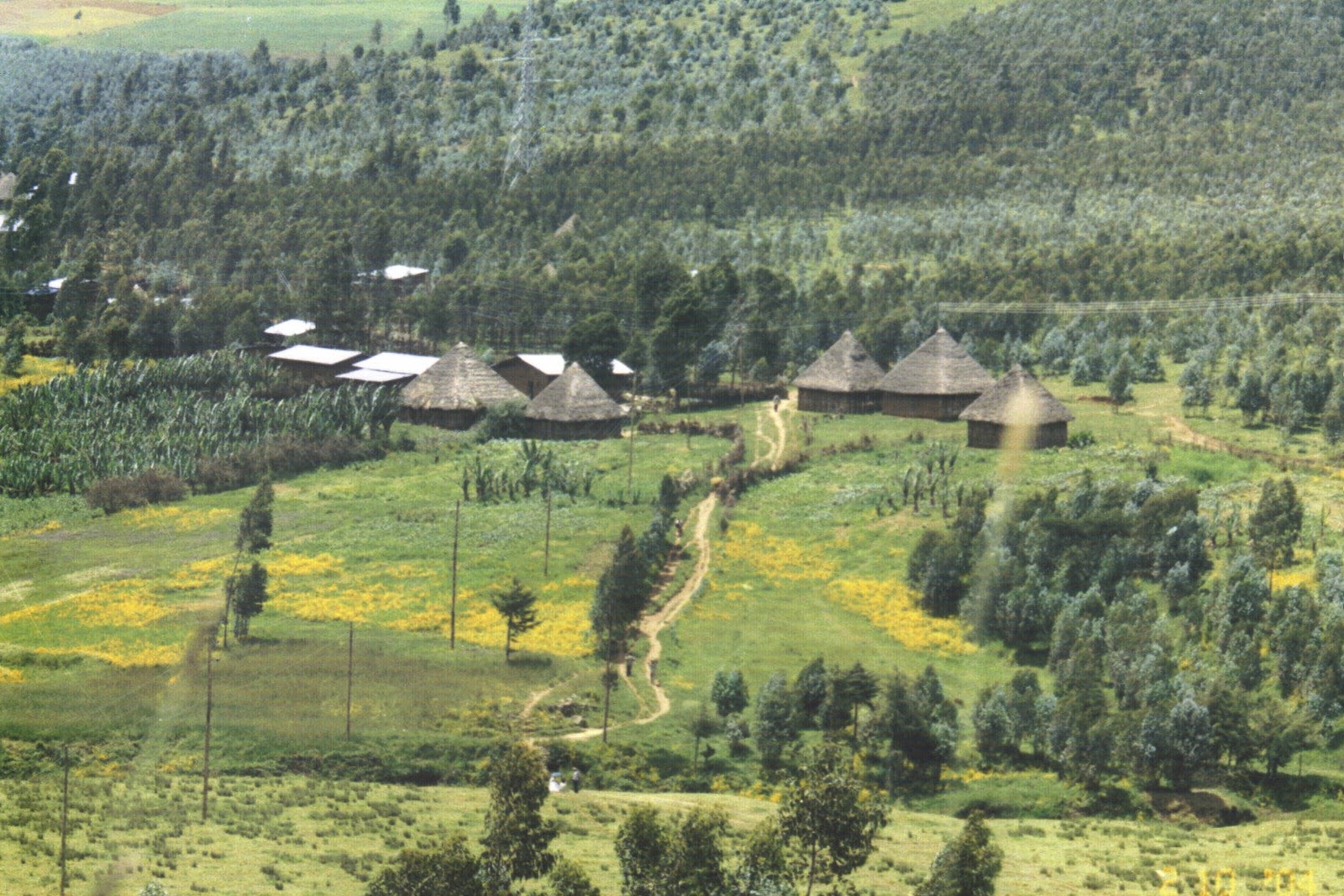 Missionaries In Service to Africa: Burayu Mariam, Ethiopia 2003 to 2004
