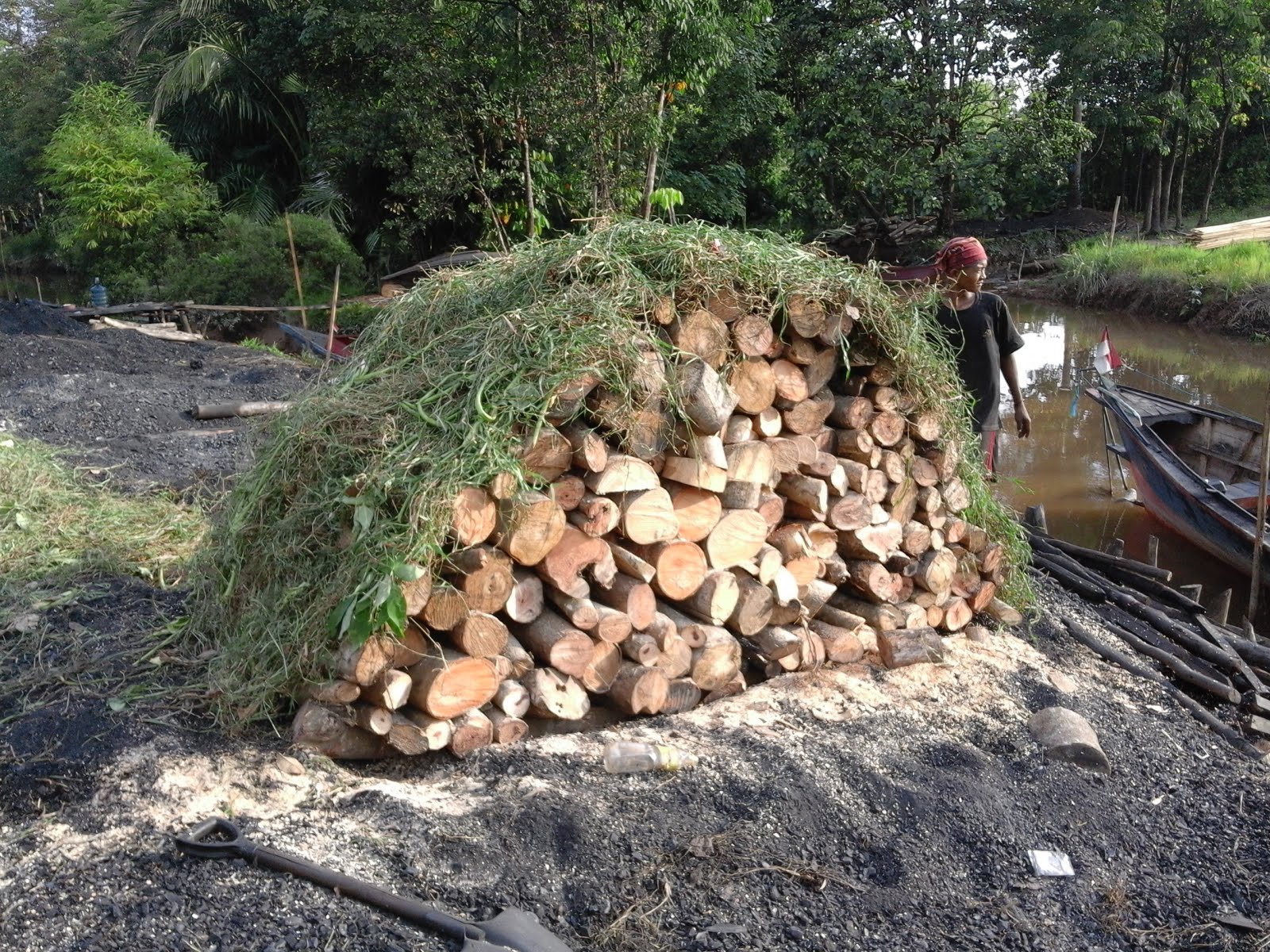 Pembuatan Arang dari Kayu Halaban di Desa Maju Bersama
