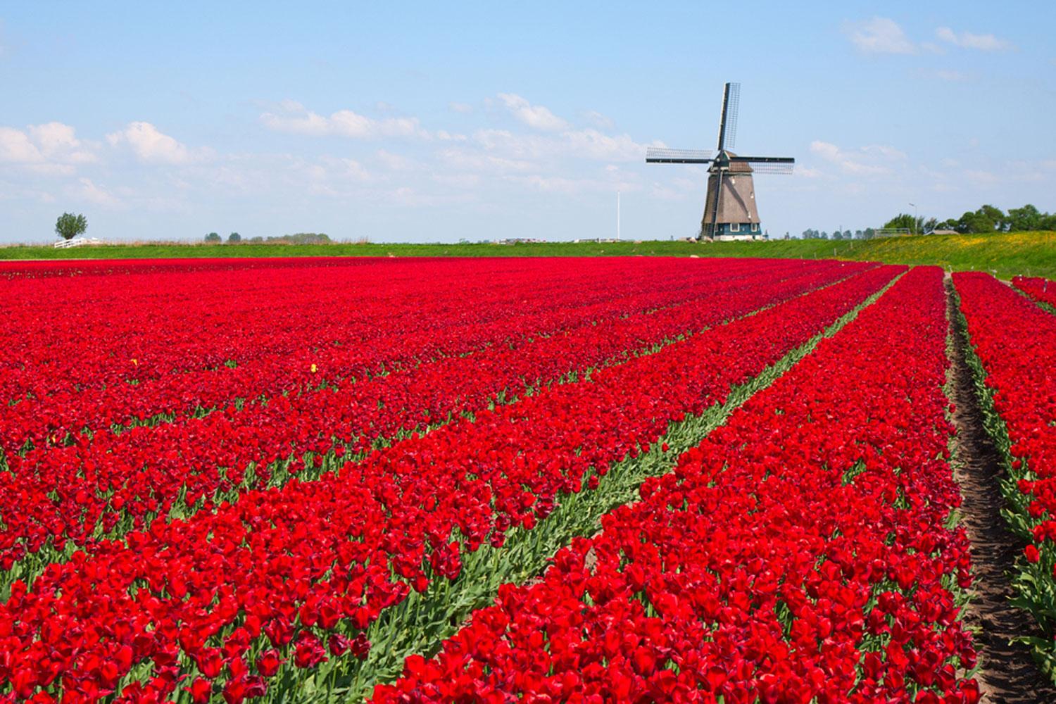 Blog Rasmi Ziarah Harmoni: TOP 5: DESTINASI PALING POPULAR UNTUK MUSIM ...