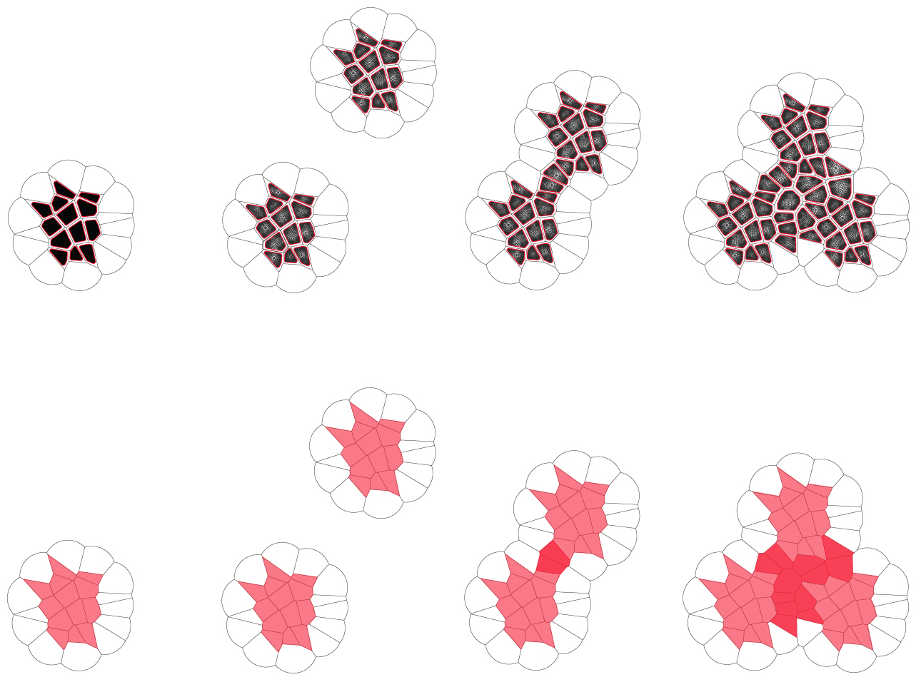 hybridbiostructures: 2011
