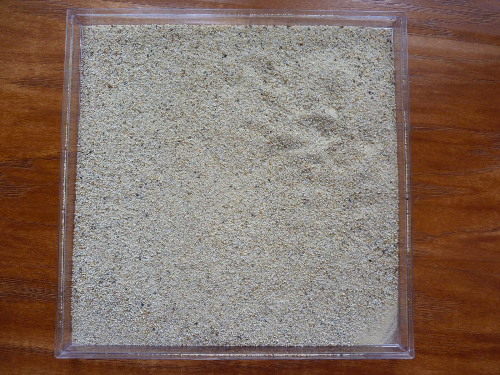 Teaching letters V - Writing in sand