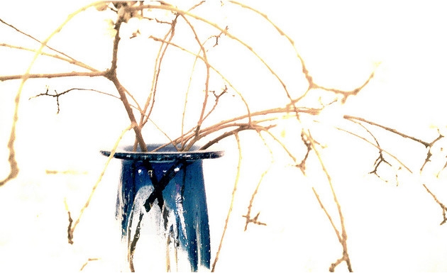 Neo arquitecturaymas: Decorar con flores y ramas secas