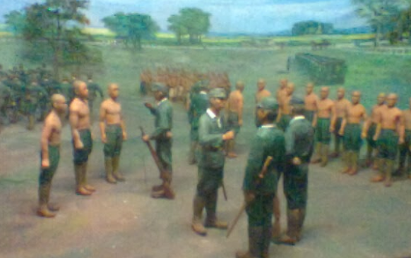 Organisasi Militer Bentukan Jepang - Materi Anak IPS