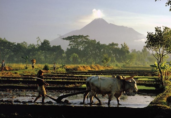 Manfaat Gunung - Perumperindo.co.id