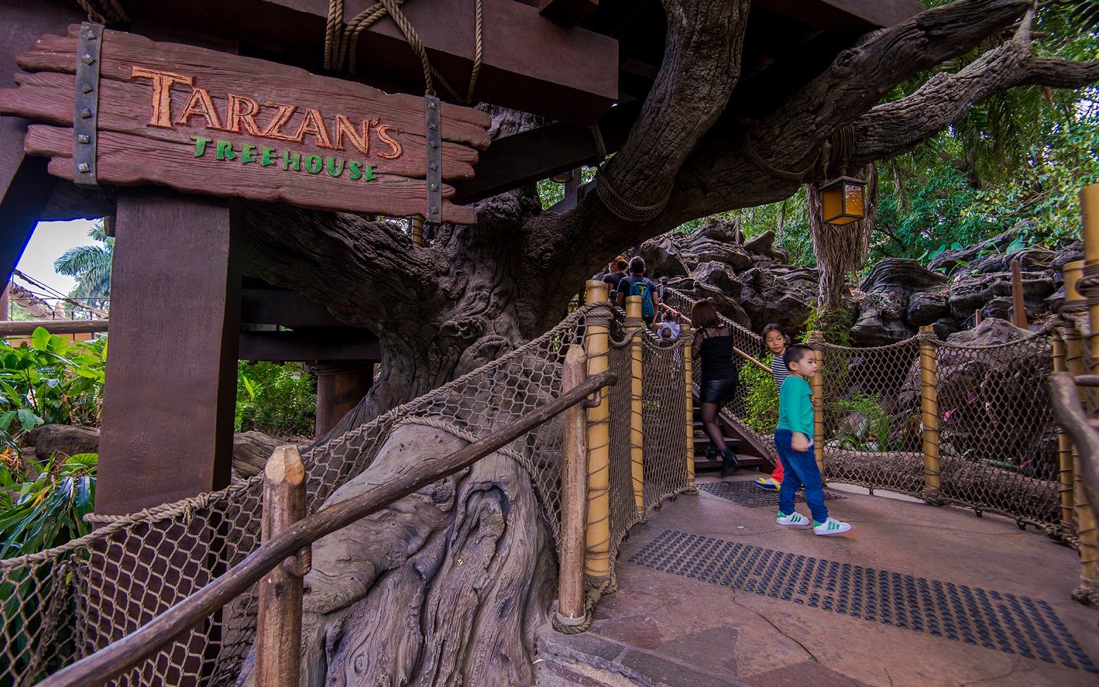 Tarzan's Hong Kong Treehouse