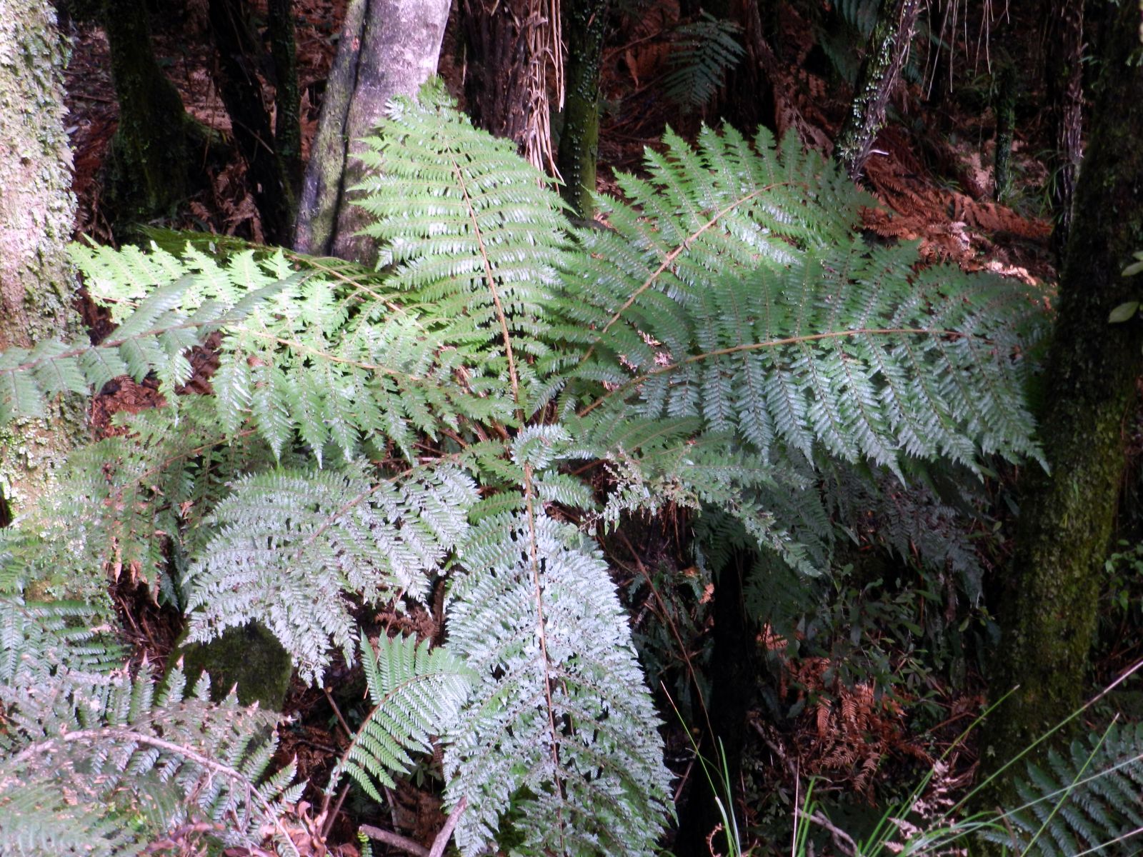 The Paddock: September 2012
