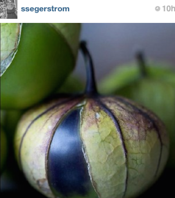 Splendid Sass: INSTAGRAM FAVORITES